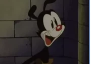Yakko Warner | Animated Character Database | Fandom