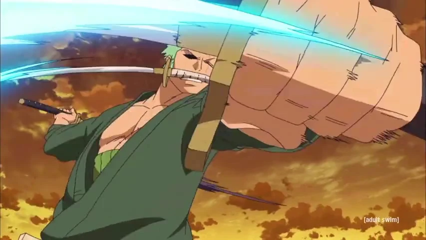 Roronoa Zoro | Animated Character Database | Fandom