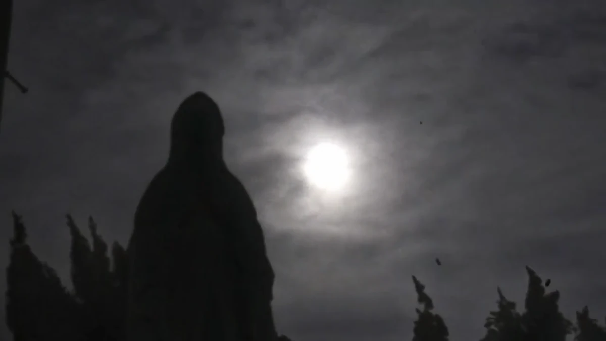 Shadow People | Animated Character Database | Fandom