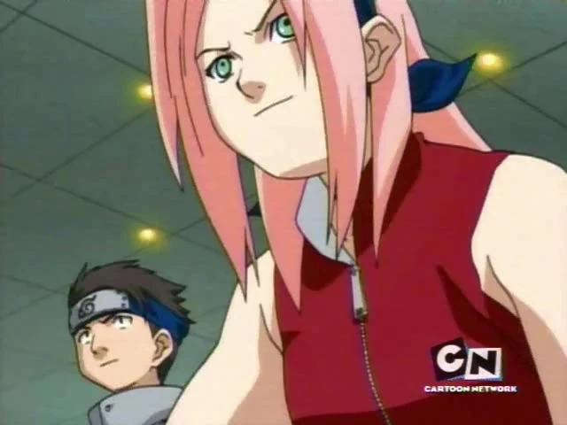 Sakura Haruno/Image Gallery 3 | Animated Character Database | Fandom