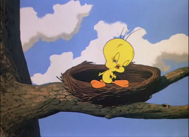 Tweety Bird | Animated Character Database | Fandom