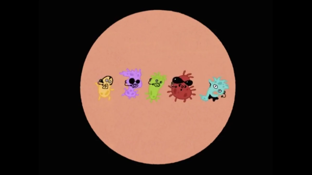 Boy Band Virus | Animated Character Database | Fandom