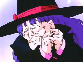 Old Witch | Animated Character Database | Fandom