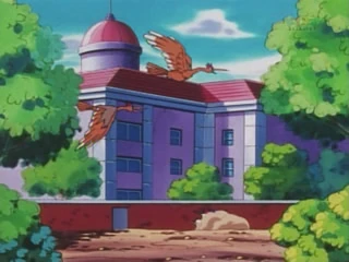 Fearow | Animated Character Database | Fandom