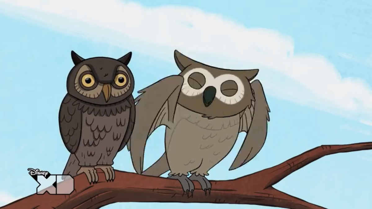 Owls | Animated Character Database | Fandom
