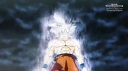 Ultra Instinct Sign | Animated Character Database | Fandom