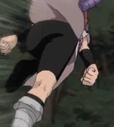 Tayuya | Animated Character Database | Fandom