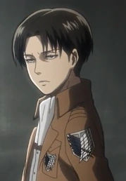 Levi Ackerman | Animated Character Database | Fandom
