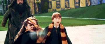 Finite Incantatem | Animated Character Database | Fandom