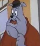 Spike(Looney Tunes) | Animated Character Database | Fandom