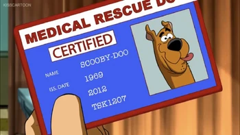 Scooby-Doo | Animated Character Database | Fandom