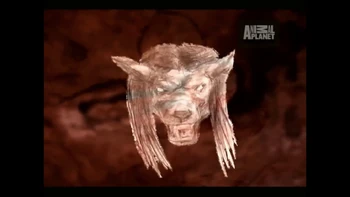 Skinwalkers | Animated Character Database | Fandom