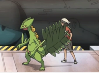 Brendan(Pokemon Generations) | Animated Character Database | Fandom