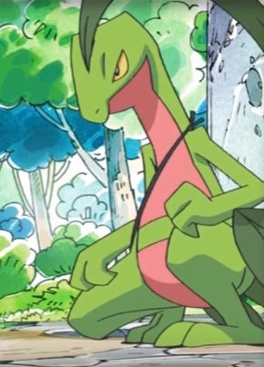 Grovyle | Animated Character Database | Fandom
