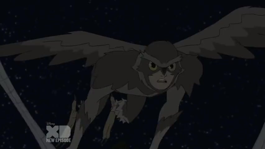 Nocturnal (Earth-17628) | Animated Character Database | Fandom Nocturnal (Earth-17628) | Animated Character Database | Fandom