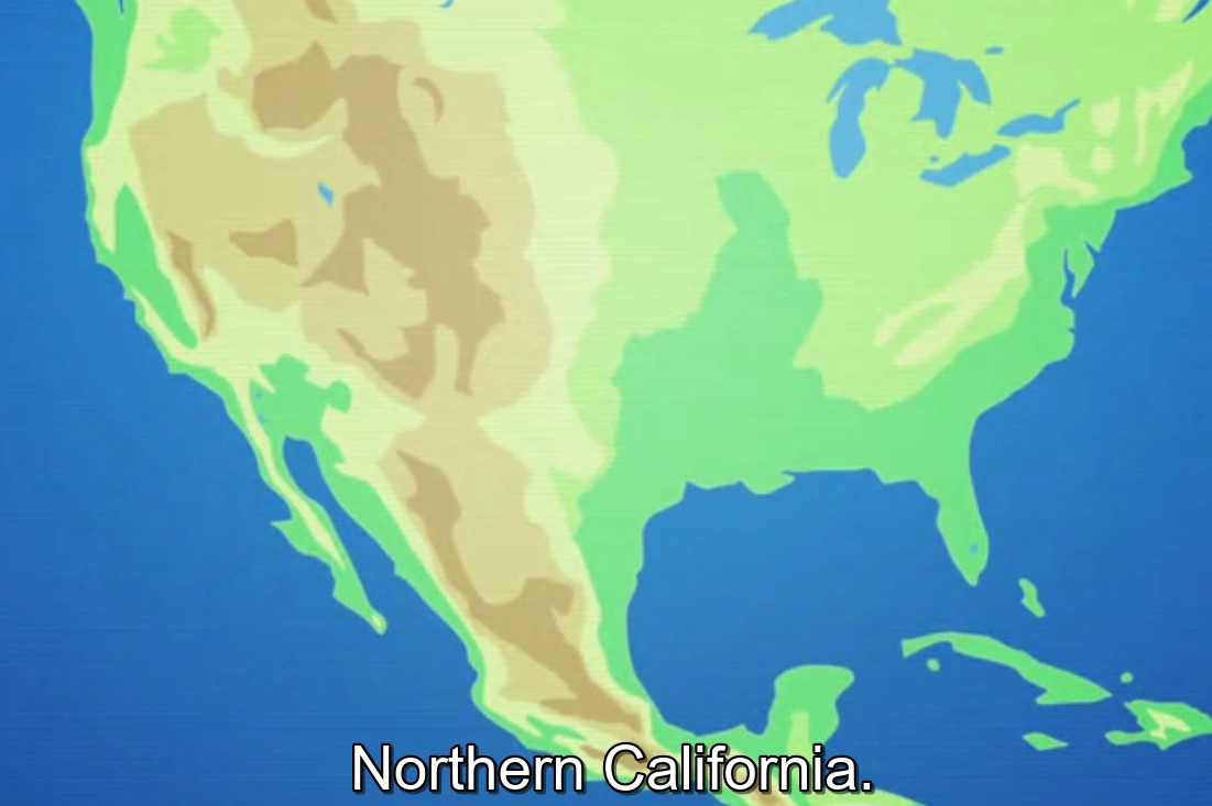 Northern California | Animated Character Database | Fandom