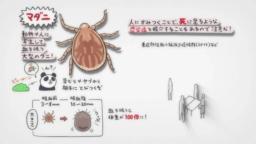 Ticks | Animated Character Database | Fandom