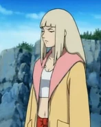 Princess Shion | Animated Character Database | Fandom