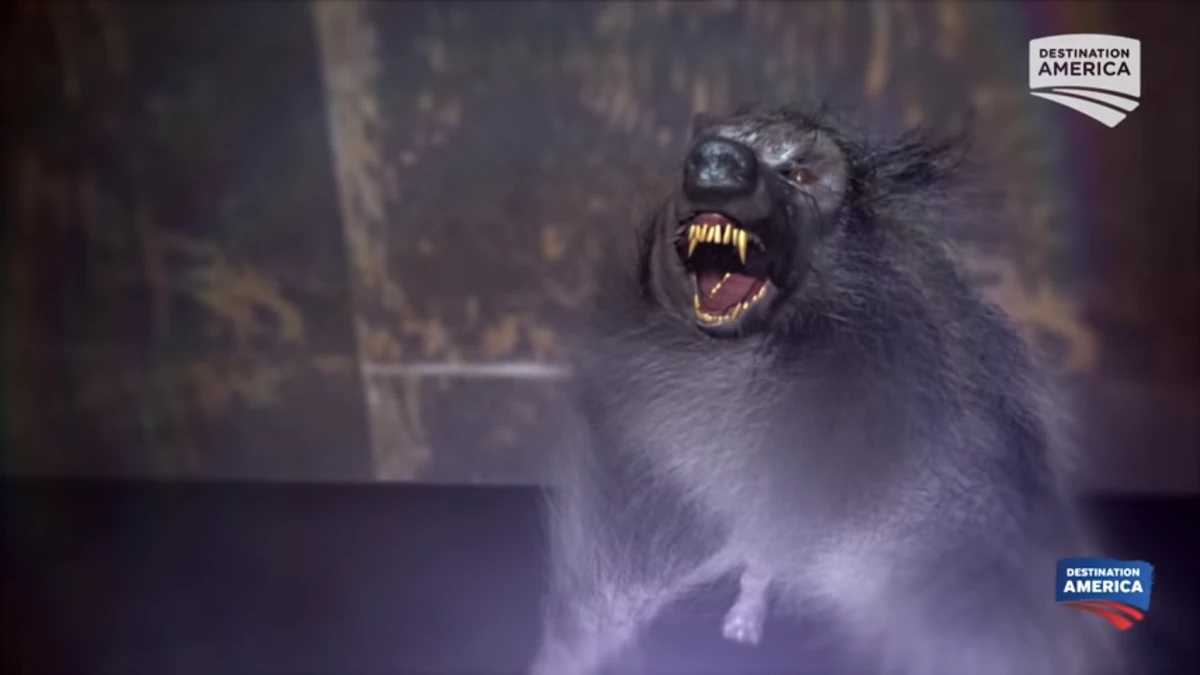 Devil Dogs | Animated Character Database | Fandom