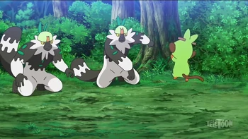 Passimian | Animated Character Database | Fandom
