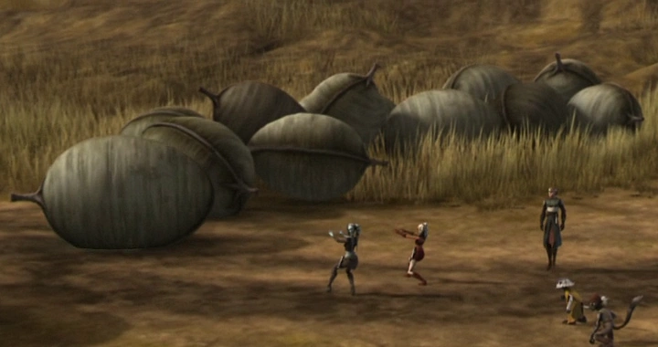 Seed Pod | Animated Character Database | Fandom