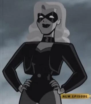 Dinah Drake Lance(Black Canary) | Animated Character Database | Fandom