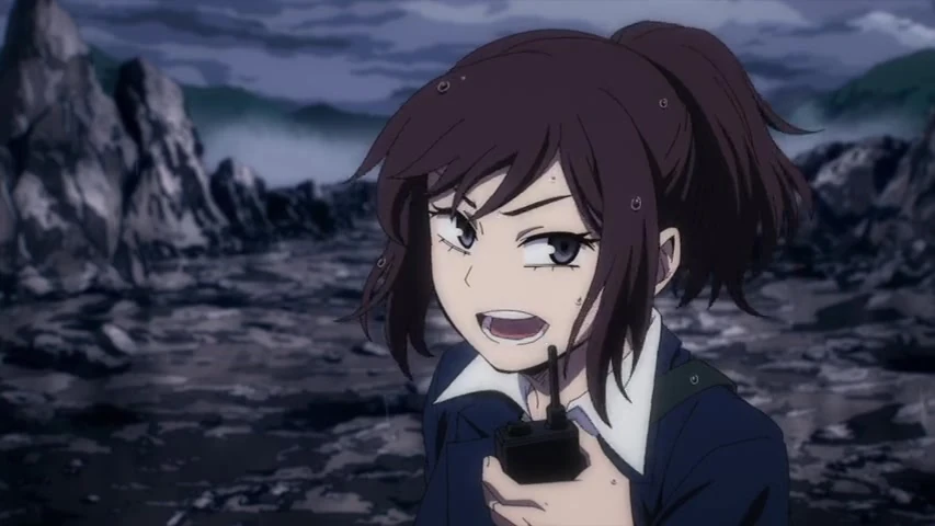 Female Reporter (My Hero Academia) | Animated Character Database | Fandom