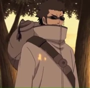 Shibi Aburame | Animated Character Database | Fandom