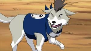 Shiba | Animated Character Database | Fandom