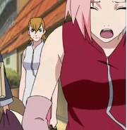 Mebuki Haruno | Animated Character Database | Fandom