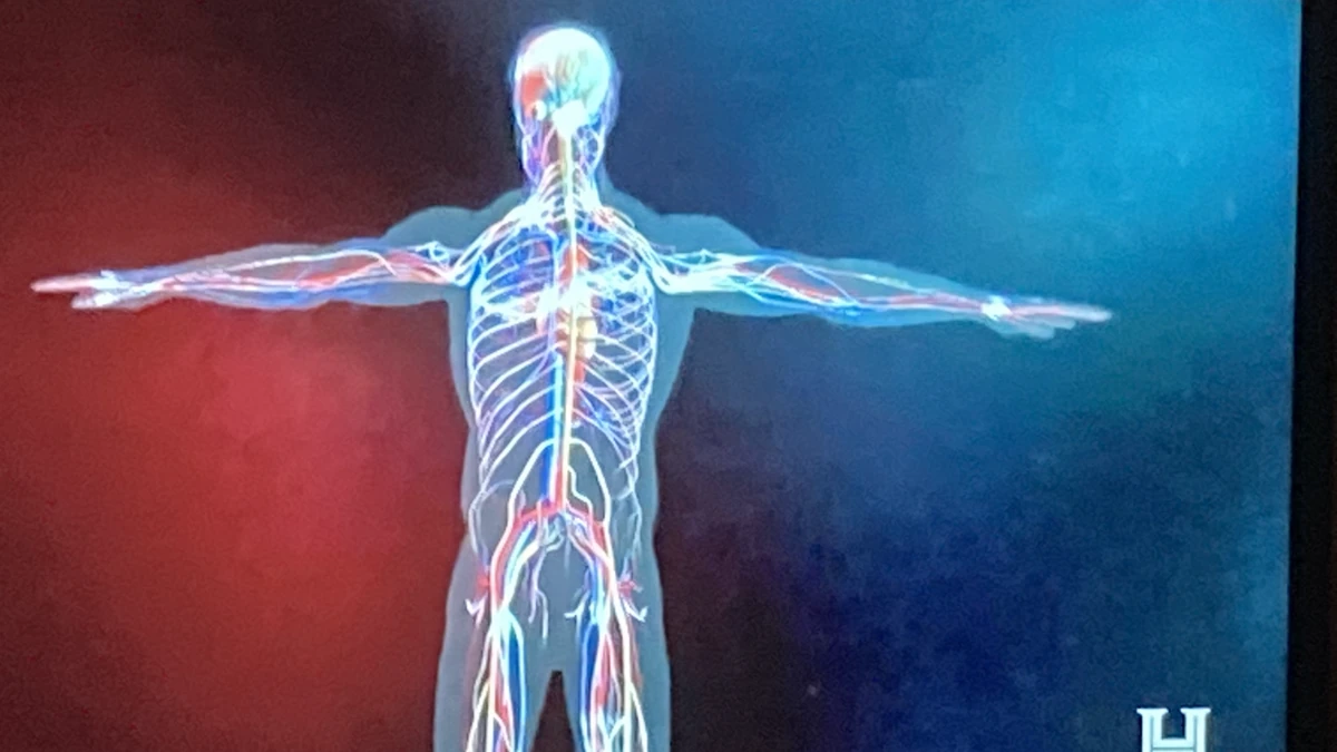 Hysterical Strength | Animated Character Database | Fandom