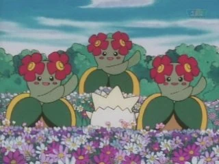 Bellossom | Animated Character Database | Fandom