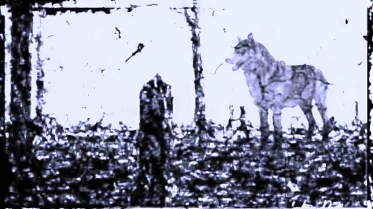 Black dog (ghost) | Animated Character Database | Fandom