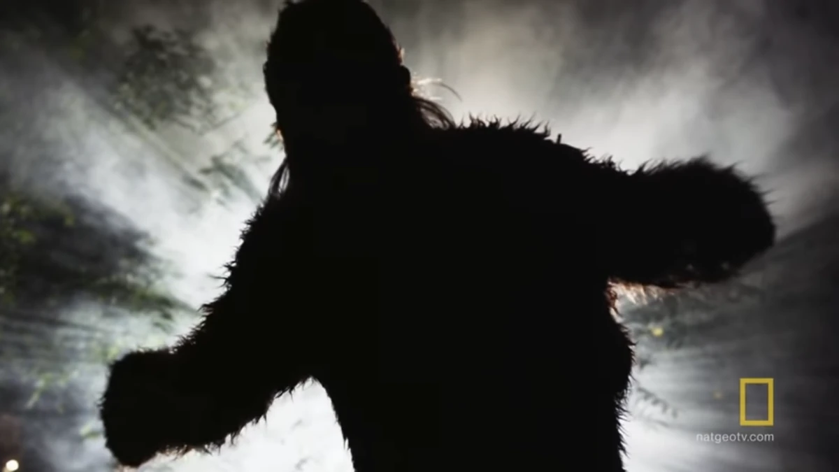 Yeti | Animated Character Database | Fandom