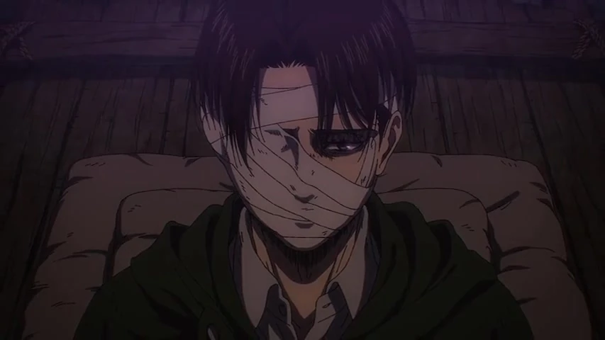 Levi Ackerman | Animated Character Database | Fandom
