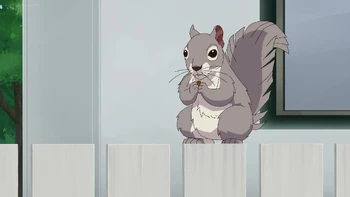 Squirrels | Animated Character Database | Fandom