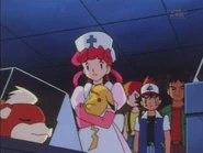 Nurse Joy of Gringy City | Animated Character Database | Fandom