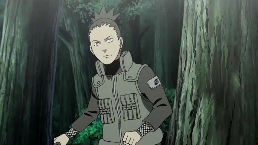 Shikamaru Nara (Tsunades Infinite Tsukuyomi) | Animated Character Database | Fandom