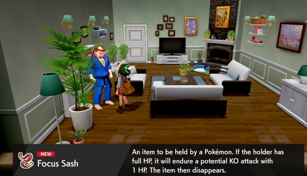 Focus Sash | Animated Character Database | Fandom