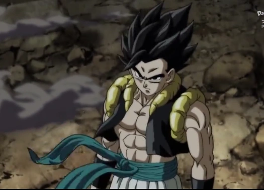 Gogeta | Animated Character Database | Fandom