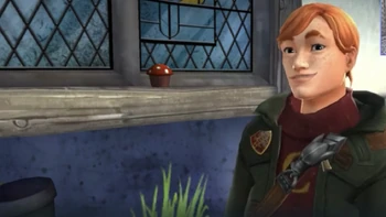 Charles Weasley | Animated Character Database | Fandom