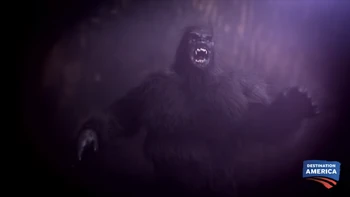 Yahoo | Animated Character Database | Fandom