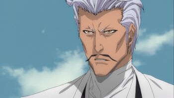 Chojiro Tadaoki Sasakibe | Animated Character Database | Fandom