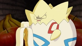 Togepi | Animated Character Database | Fandom