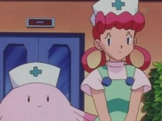 Nurse Joy of Pummelo Island | Animated Character Database | Fandom