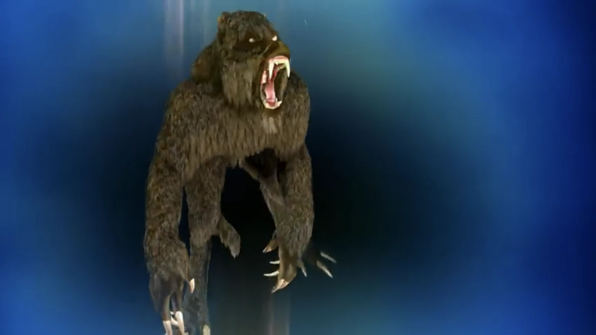 Cat’aeni | Animated Character Database | Fandom