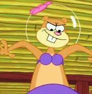 Sandy Cheeks | Animated Character Database | Fandom