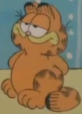 Garfield | Animated Character Database | Fandom