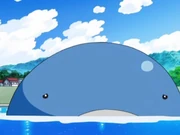 Wailord | Animated Character Database | Fandom