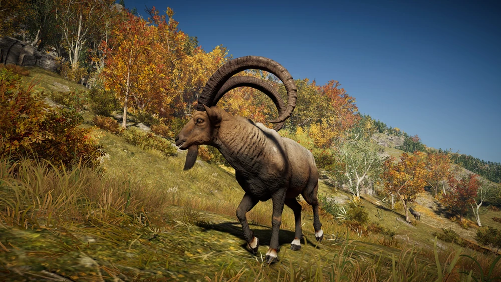 Ibex | Animated Character Database | Fandom